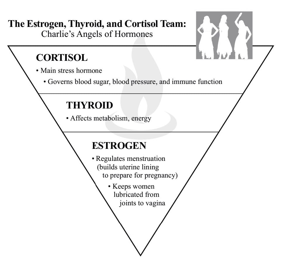 Sage's Pages: "The Hormone Cure" Book by Dr. Sara Gottfried