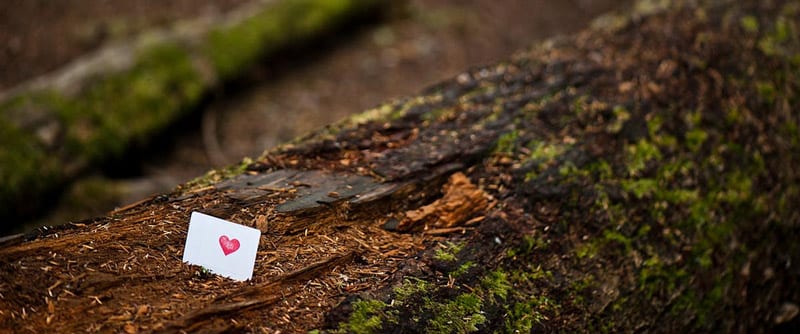 How to Read the Fine Print of Yoga | Wanderlust