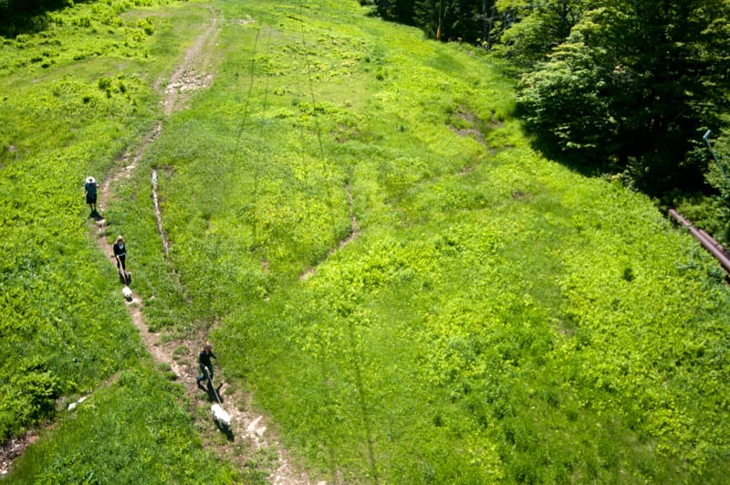 Returning to the Mountain | Wanderlust