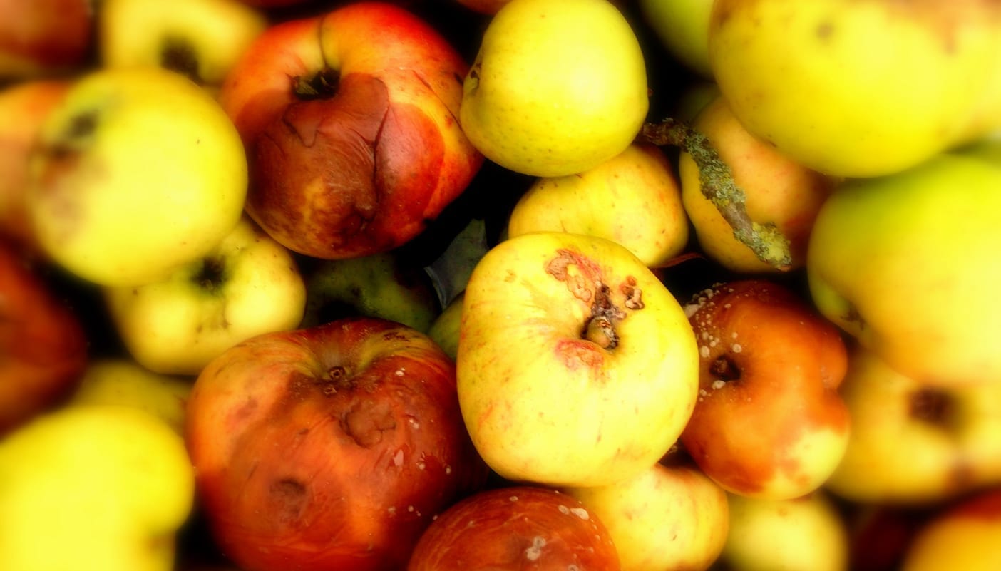 Why You're Shopping For Produce Wrong