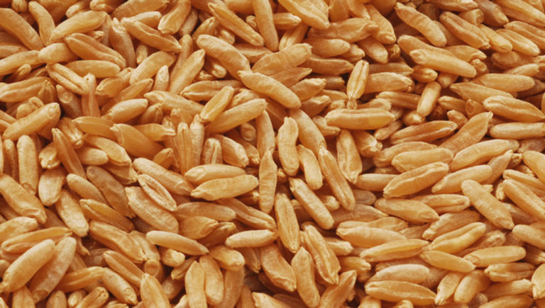 Discover Kamut: Turn the "Prophet's Wheat" Into a Smoothie Bowl