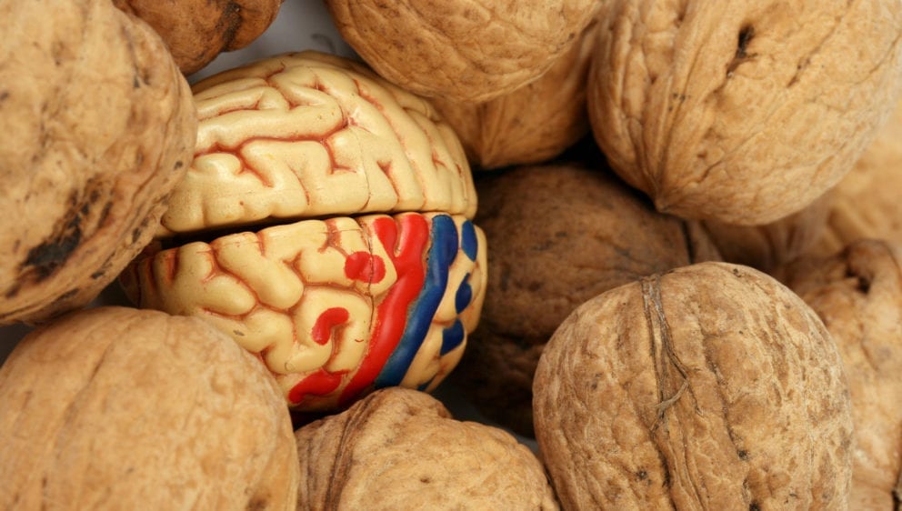 Eat Smarter: Nutrition for Your Brain