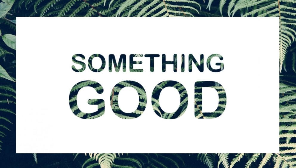 Something Good: What You Need to Read This Week