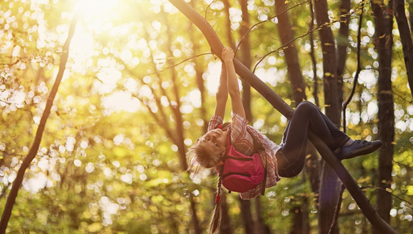 How a Tree's Breath Literally Cleans the Planet