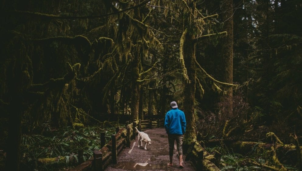 The Surprising Benefits of Going Barefoot | Wanderlust