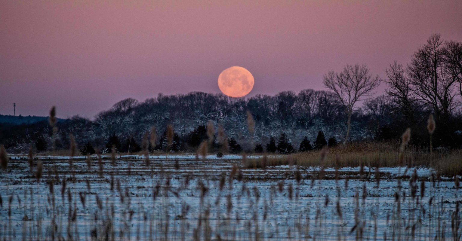 Your Guide To Align With The Moon: Create Your Own Full Moon Ritual ...