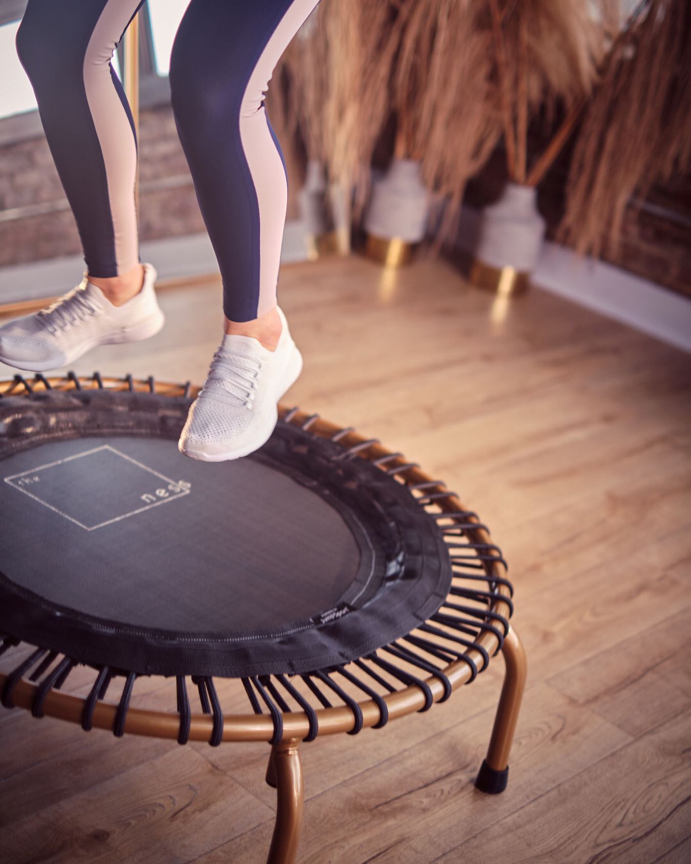 Bounce Out Beyond Your Comfort Zone | Wanderlust