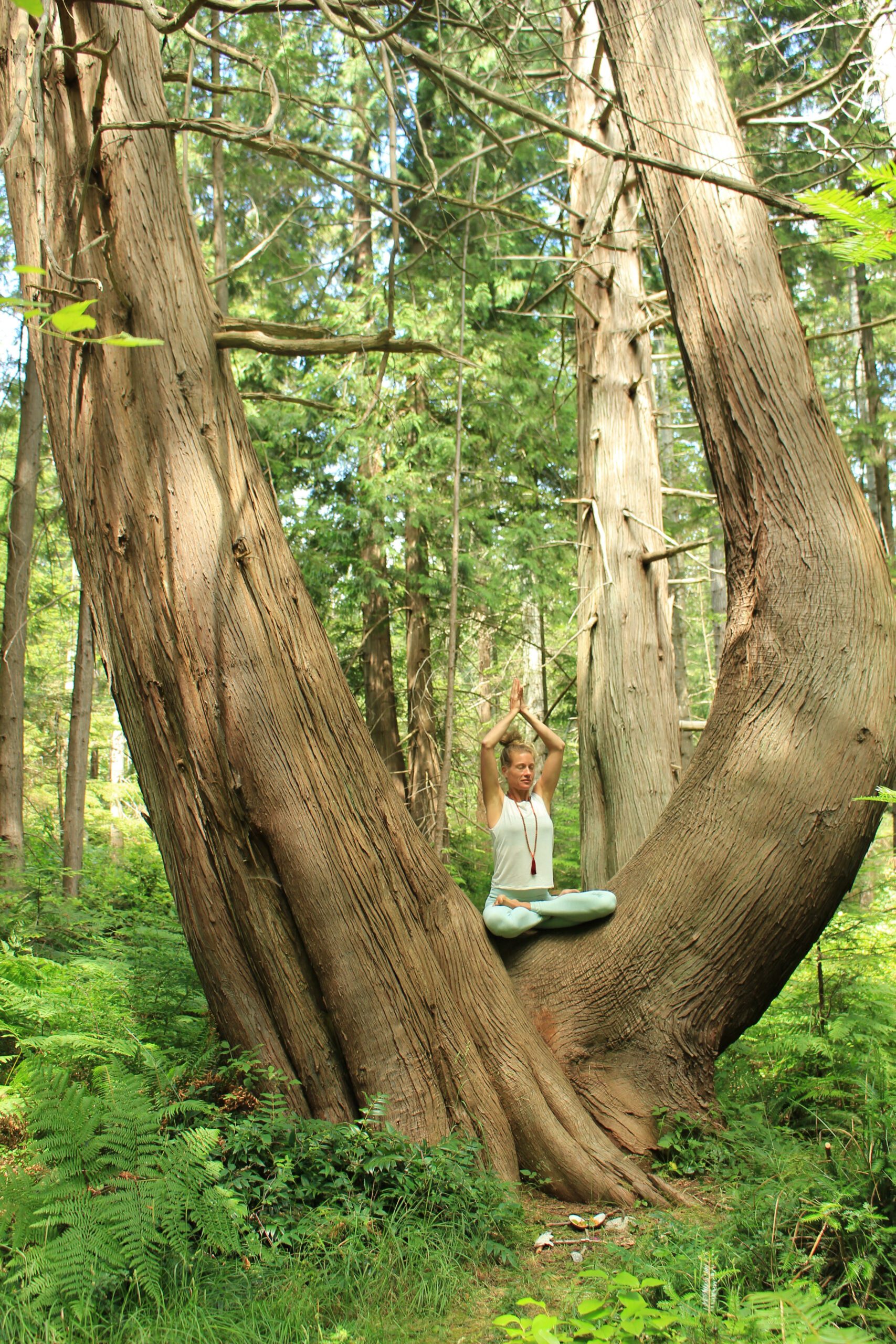 Four Rituals to Honor Summer Solstice | Wanderlust