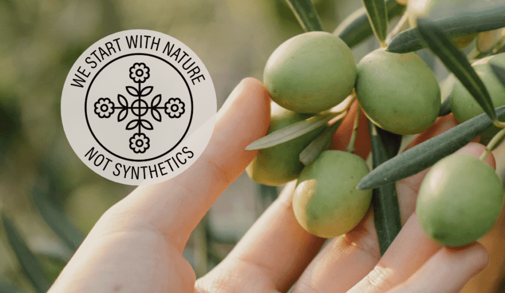 What We Don’t Use: Synthetics or GMO | Wanderlust